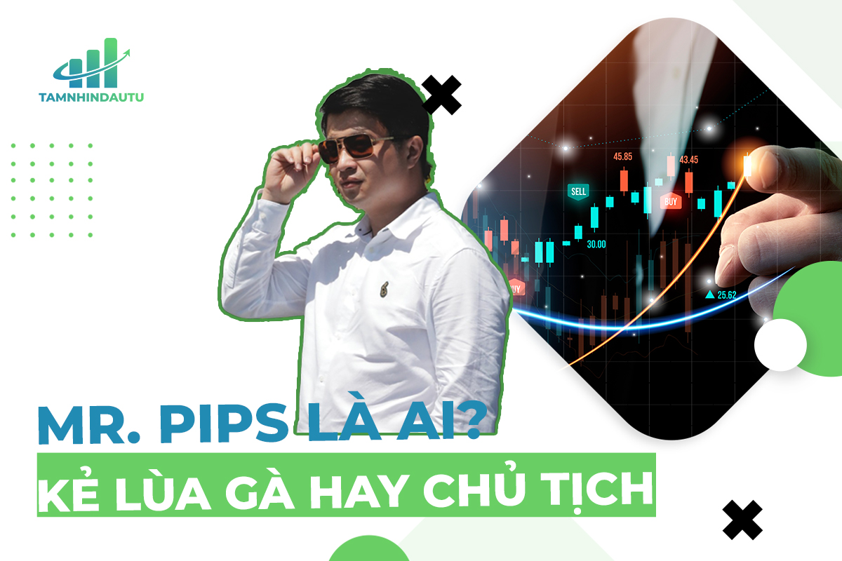 Mr Pips là ai? Sự thật về trùm cuối FX Phó Đức Nam lừa đảo
